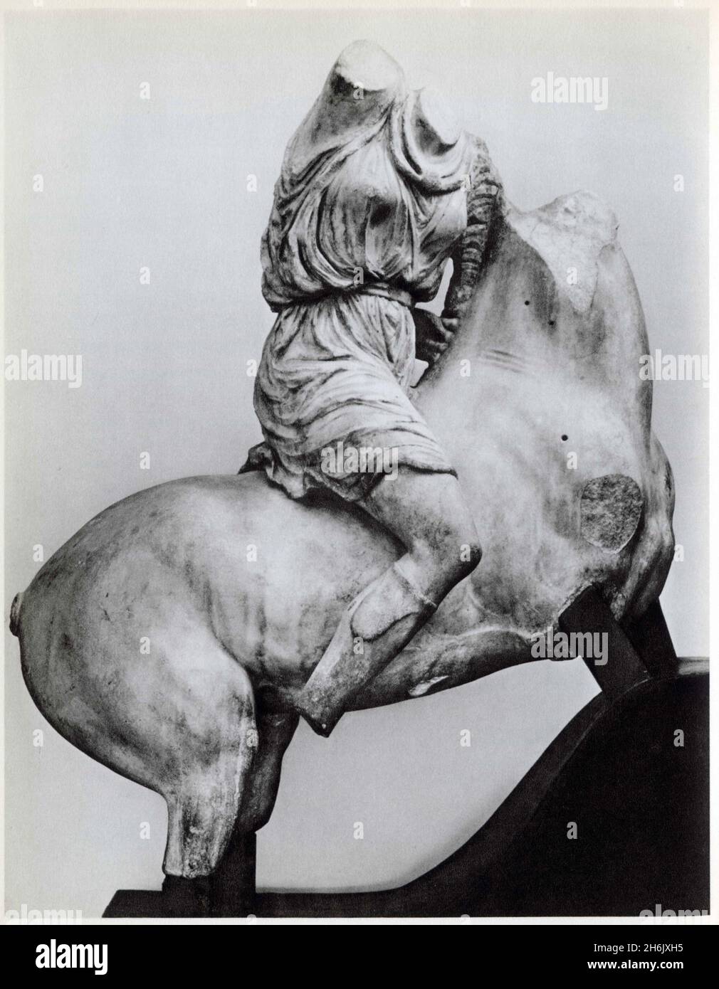 Queen of the amazons hi-res stock photography and images - Alamy