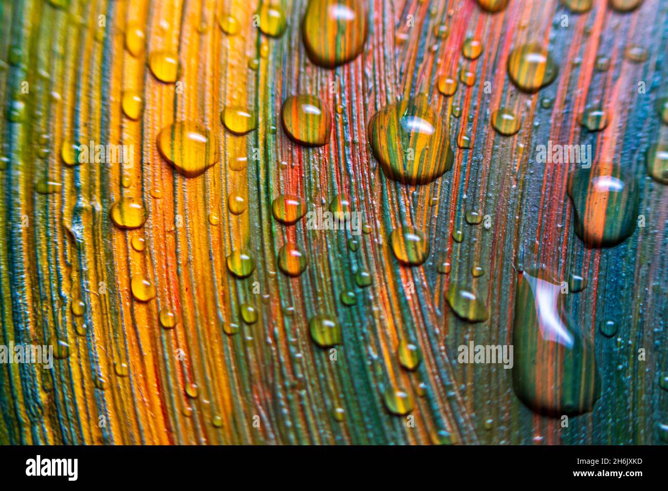 Colorful multicolored paints are covered with water drops. Multicolor ...