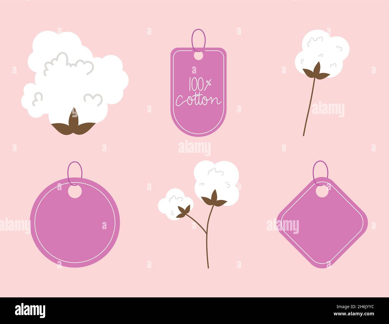 Natural cotton bolls in Stock Vector Images - Alamy