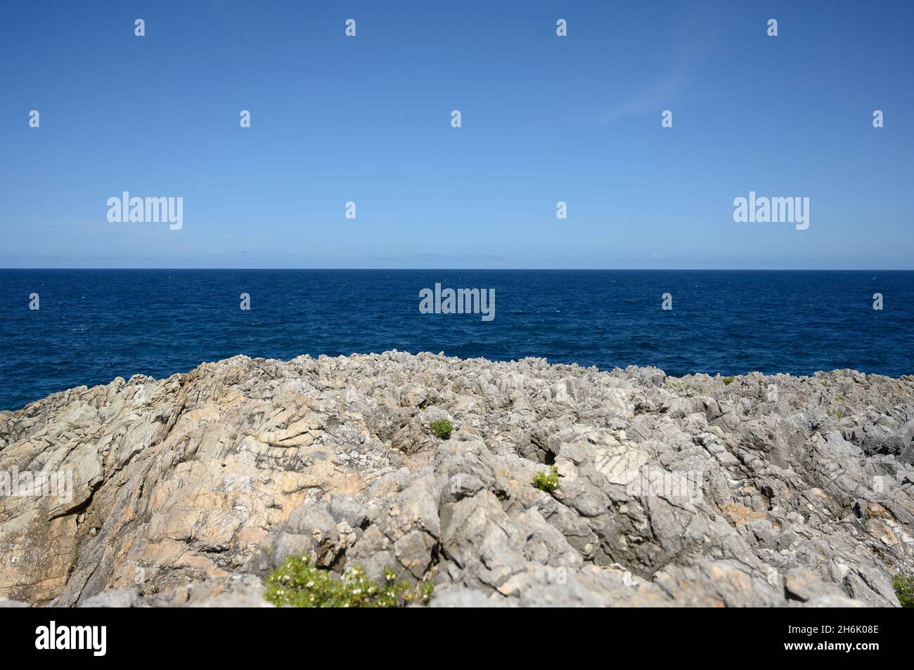 This photo shows how a rock protrudes from the fabulous jungle of the ...