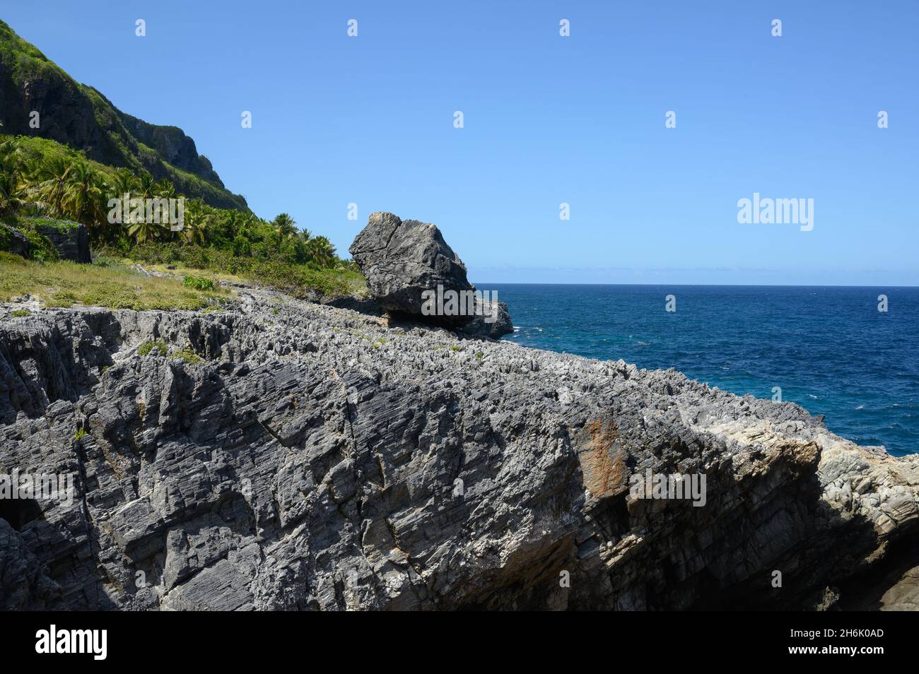 This photo shows how a rock protrudes from the fabulous jungle of the ...