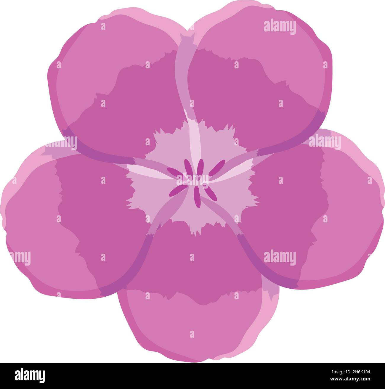 geranium flower on white background Stock Vector Image & Art - Alamy