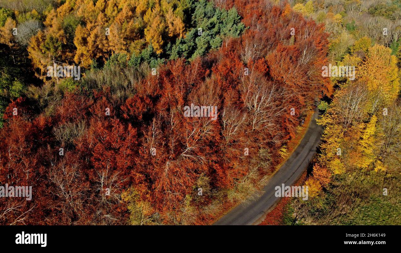 Peterborough, UK. 15th Nov, 2021. Autumn colours look lovely above ...