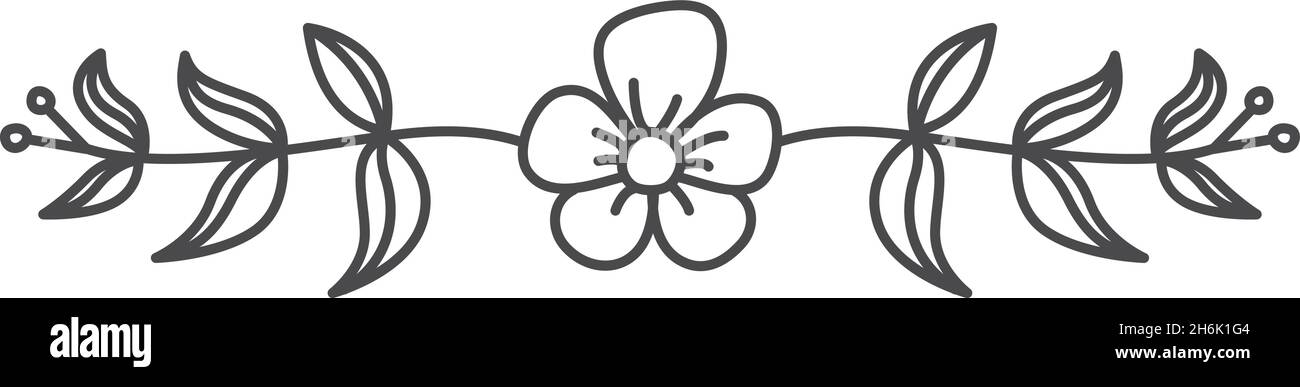 Hand drawn divider with flower and leaves. Decorative separator Stock ...