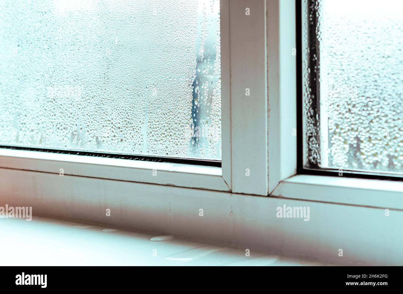 Drops of condensate and black mold on a white plastic window. Close-up ...