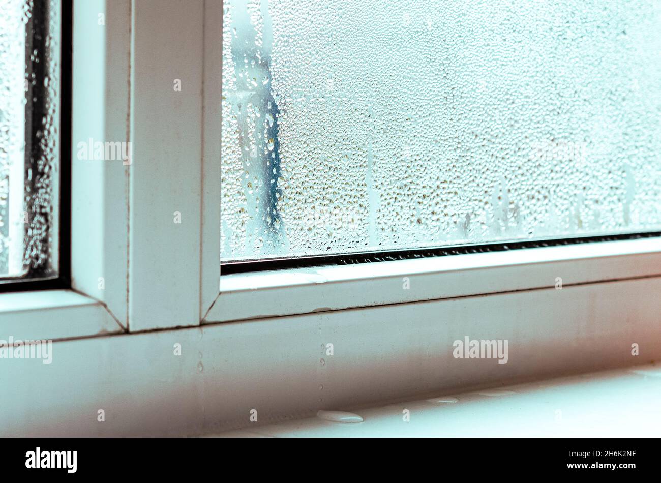 Drops of condensate and black mold on a white plastic window. Close-up ...