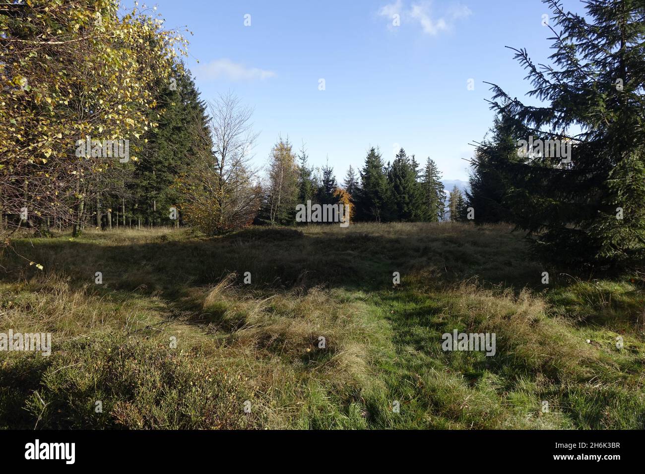 Dollberg hi-res stock photography and images - Alamy