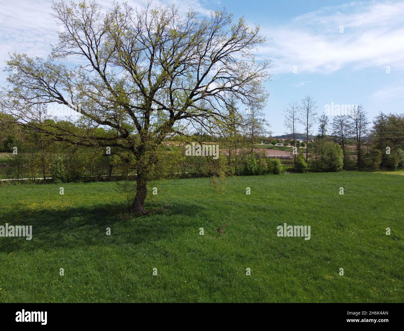 Grassy field summer rural town background hi-res stock photography and ...
