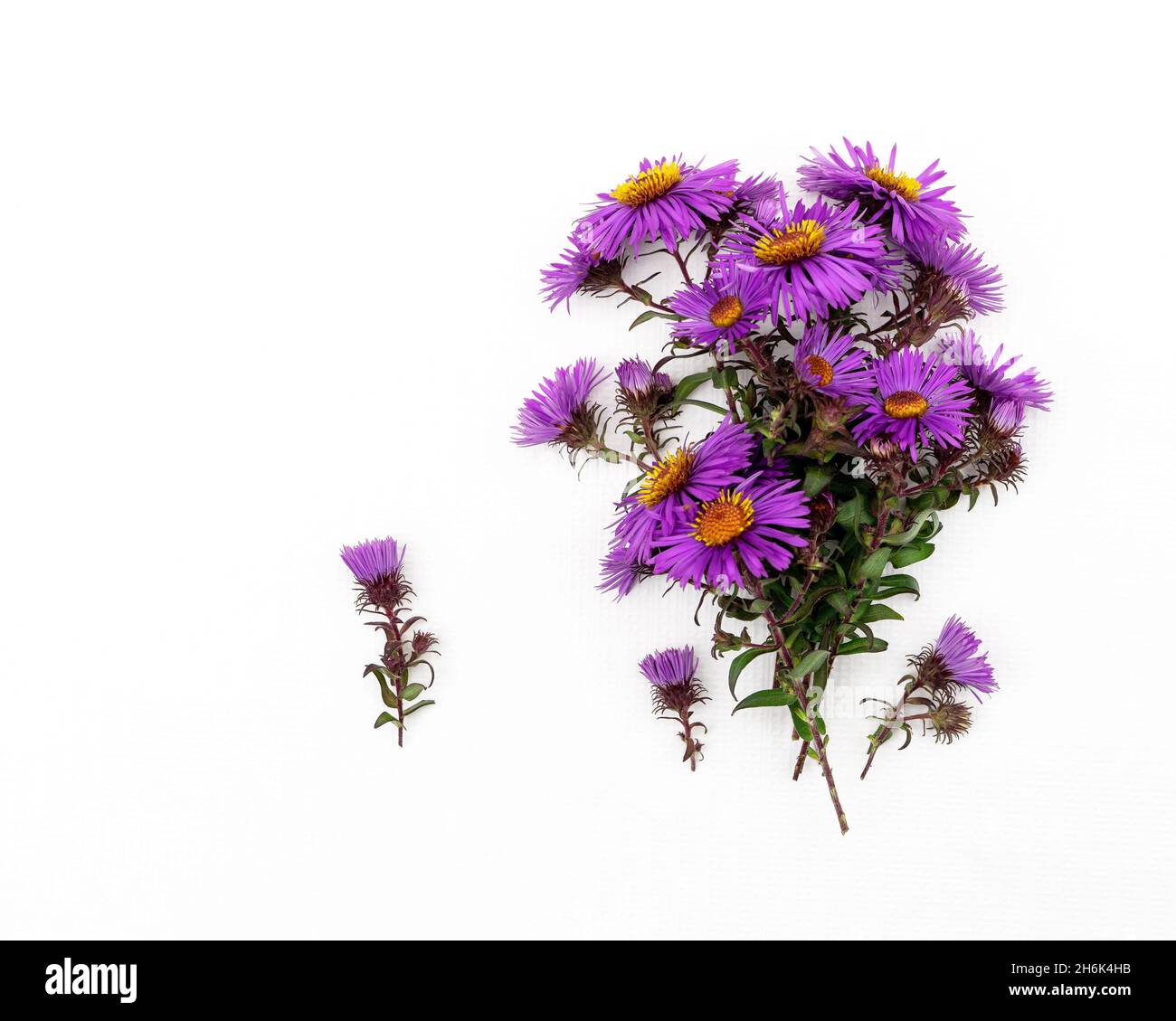 Gentle pink card bouquet Cut Out Stock Images & Pictures - Alamy