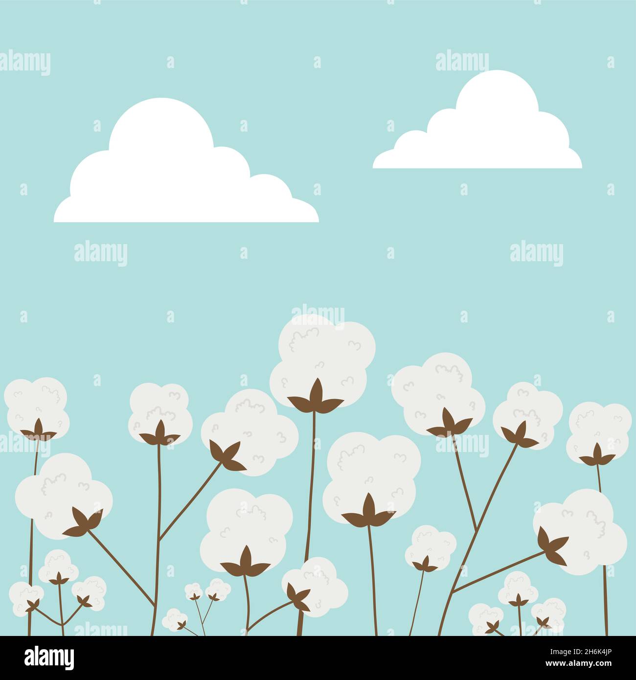 Cotton Field Illustration