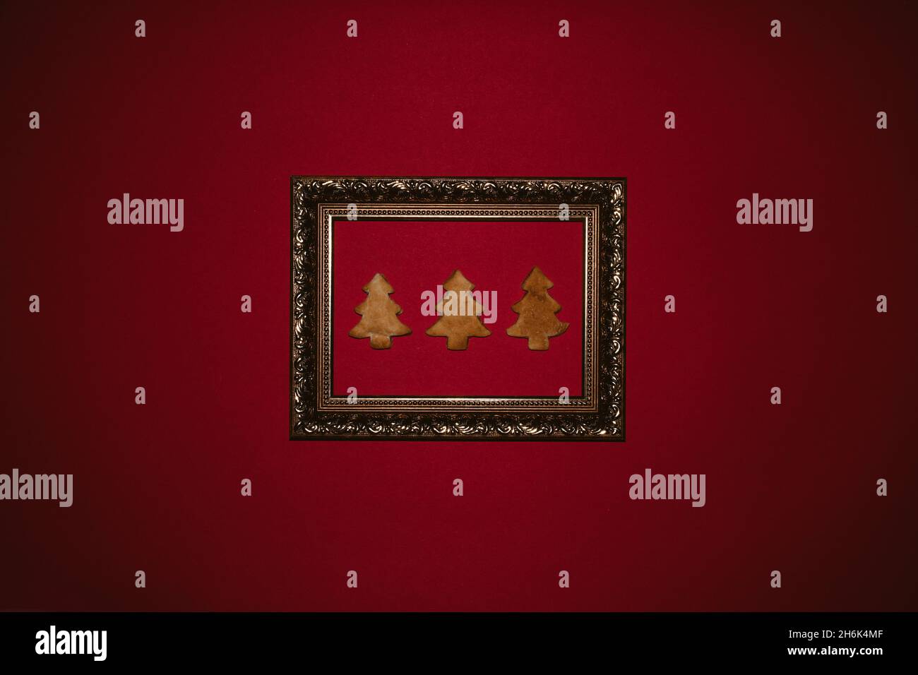 Fir tree flash hi-res stock photography and images - Alamy