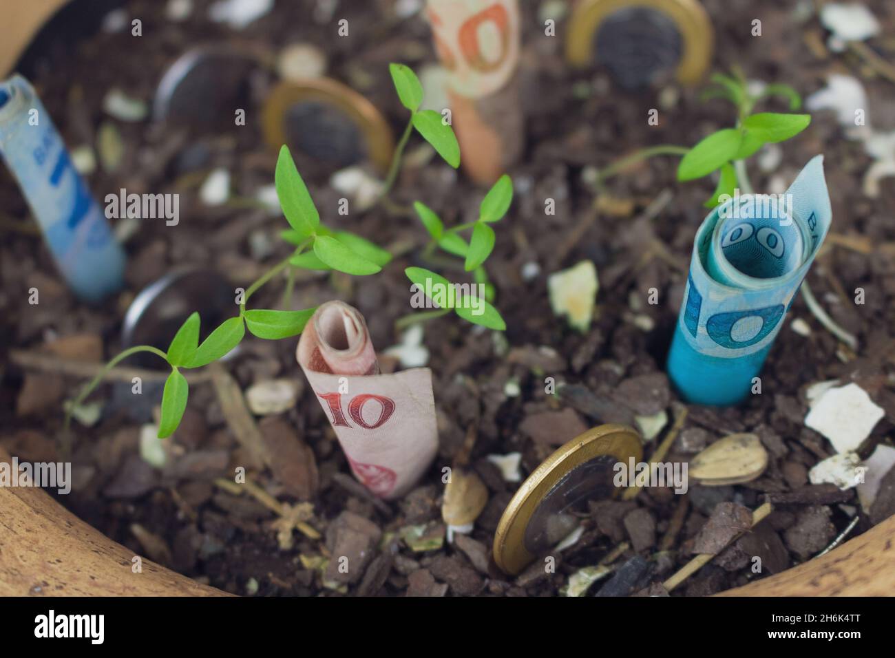 Buried money hi-res stock photography and images - Alamy