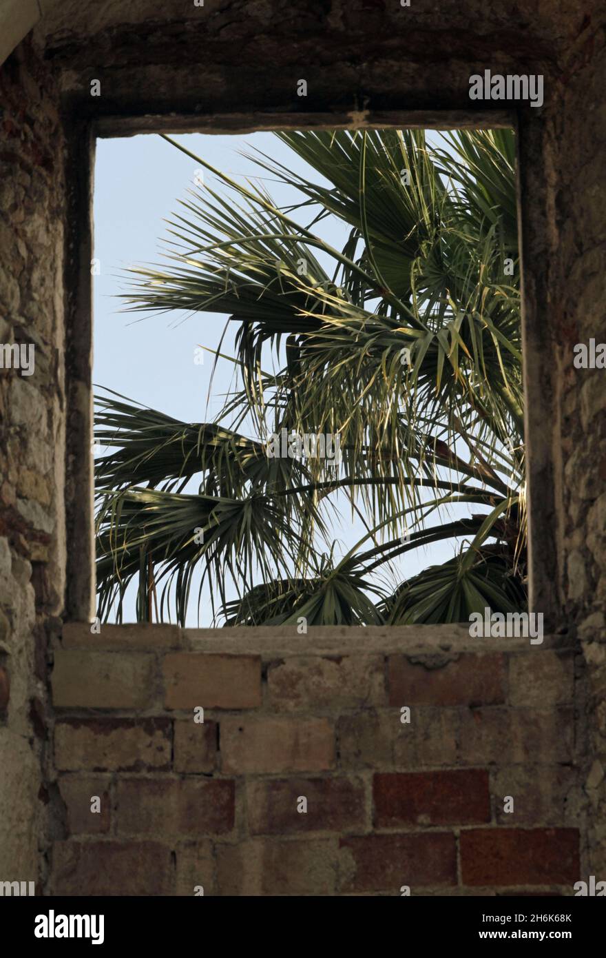 Tropical window view hi-res stock photography and images - Alamy