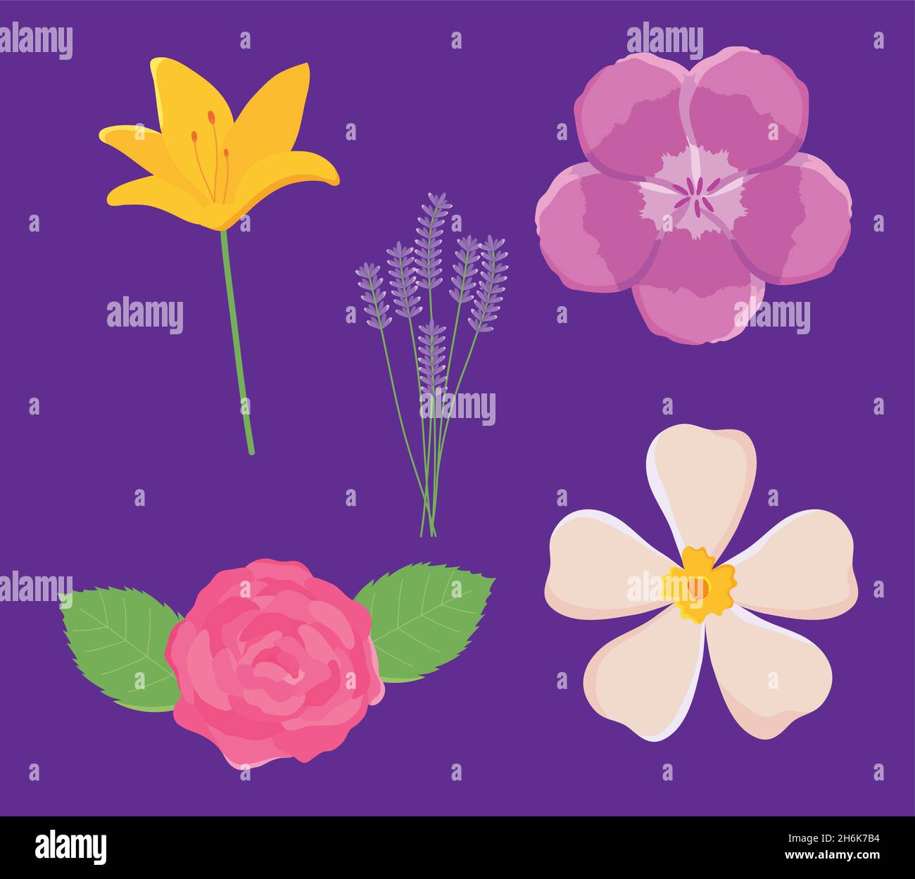 fragant flowers icon set design Stock Vector Image & Art - Alamy