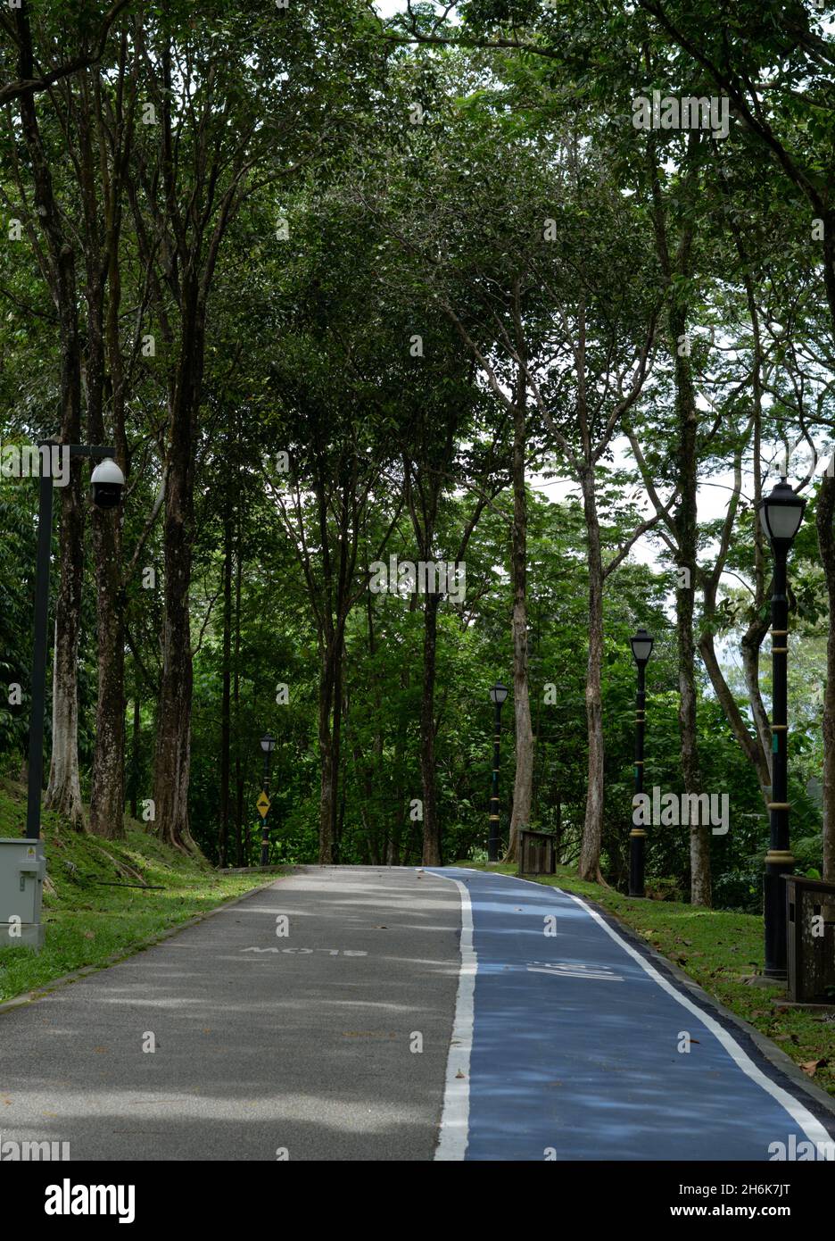 Separated by vertical line hi-res stock photography and images - Alamy