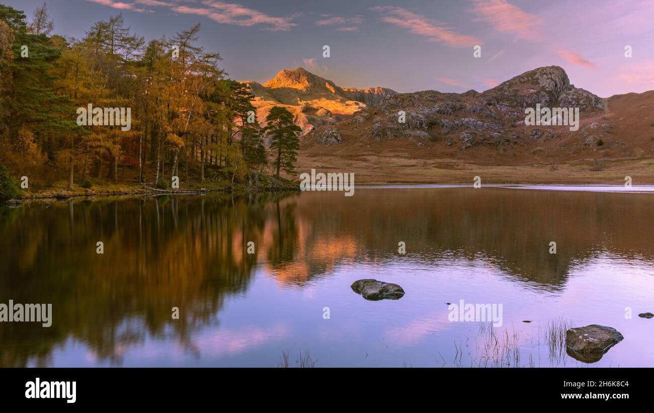 Blea Tarn in the Lake District Stock Photo - Alamy