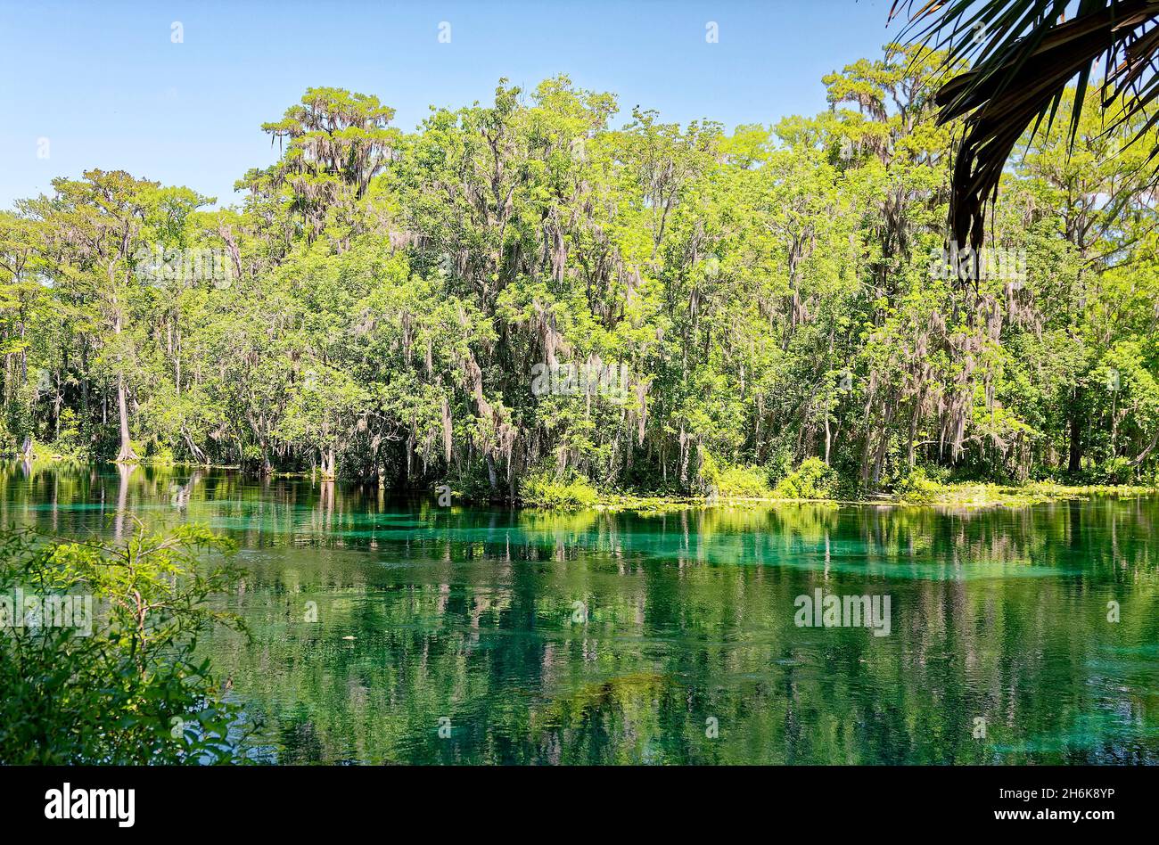 Silver river state park florida hi-res stock photography and images - Alamy