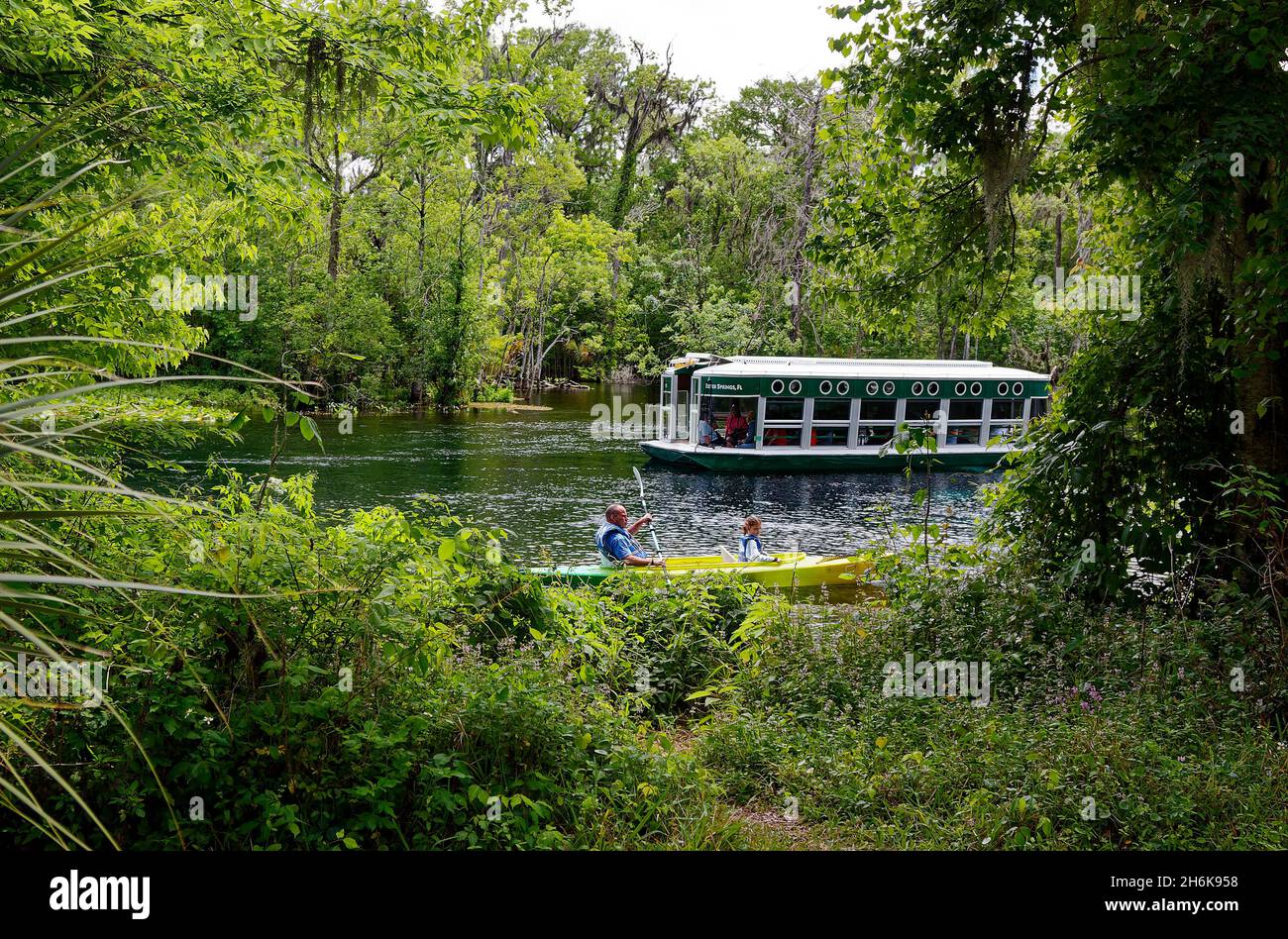 glass bottom boat; kayak, passing, nature observation; touring ...
