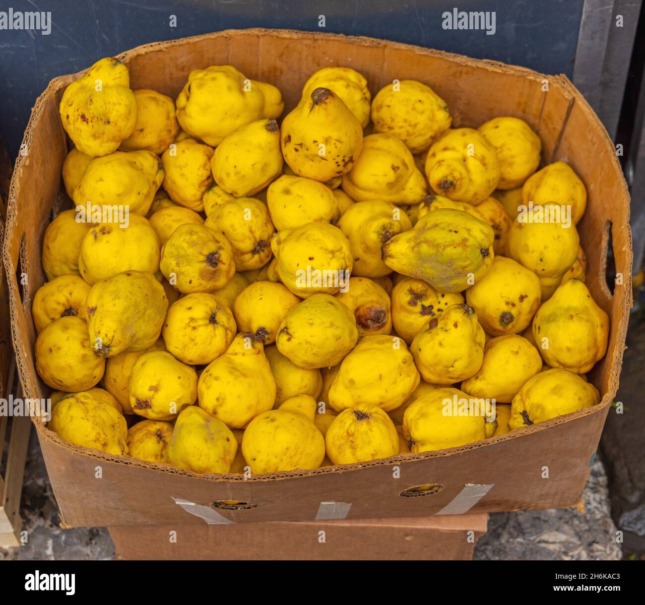 Organic Yellow Quince Fruits in Box From Farm Stock Photo - Alamy