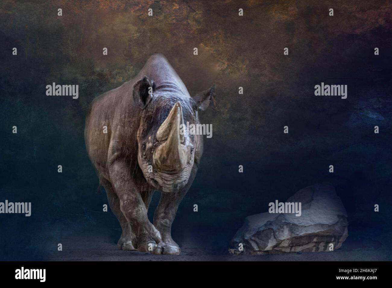 Rhino rock hi-res stock photography and images - Alamy