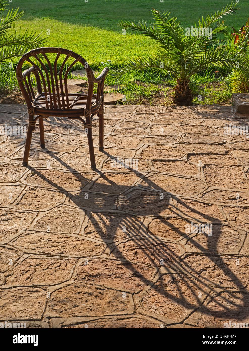 Shadow cast by trees hi-res stock photography and images - Alamy