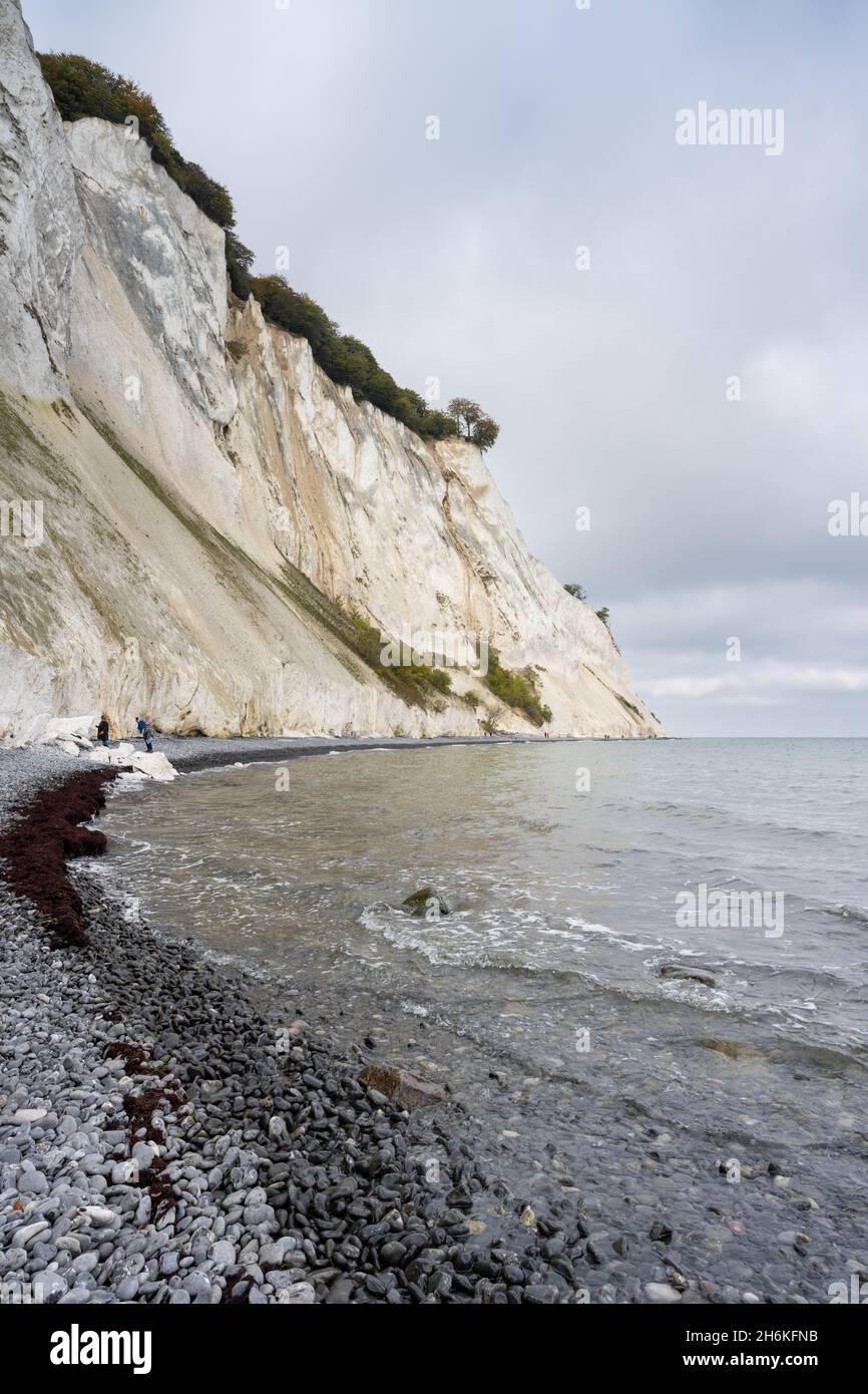Beautiful chalk cliffs towering over the Baltic Sea. Picture from Mons ...