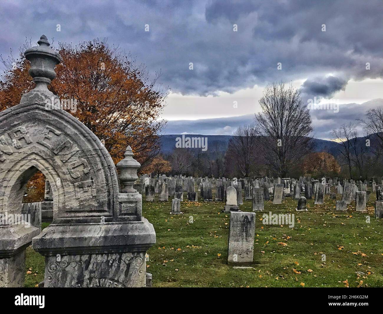 Gravestone under the trees hi-res stock photography and images - Alamy