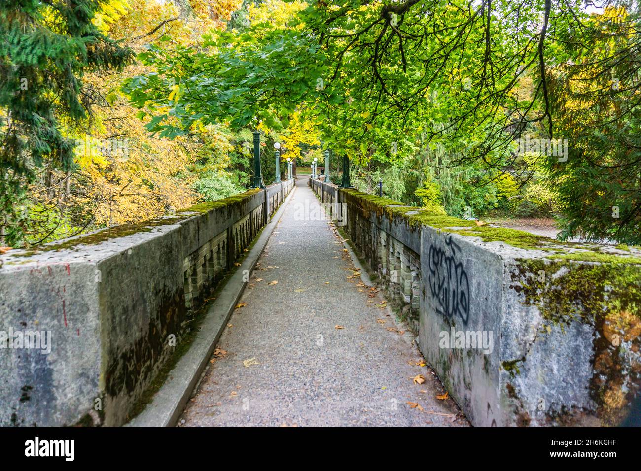 A walking bridge at the Washington Park Arboretum in Seattle ...