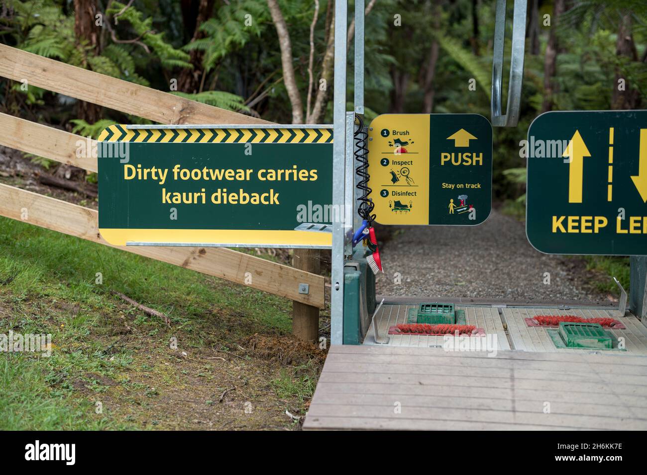 Protective entrance gate to the kauri forest Stock Photo - Alamy