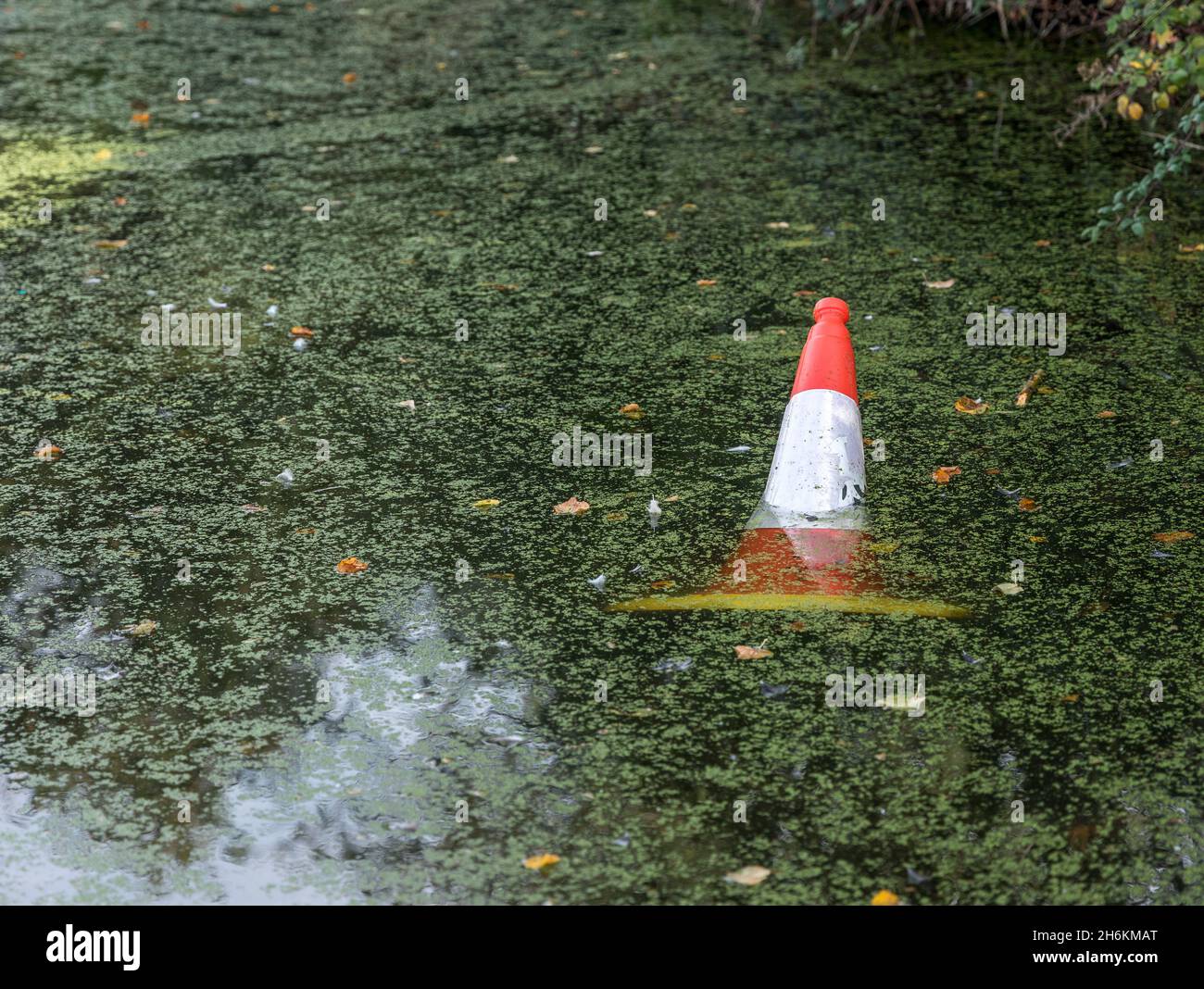 Red and white traffic cone floating in water with pond vegetation Stock ...