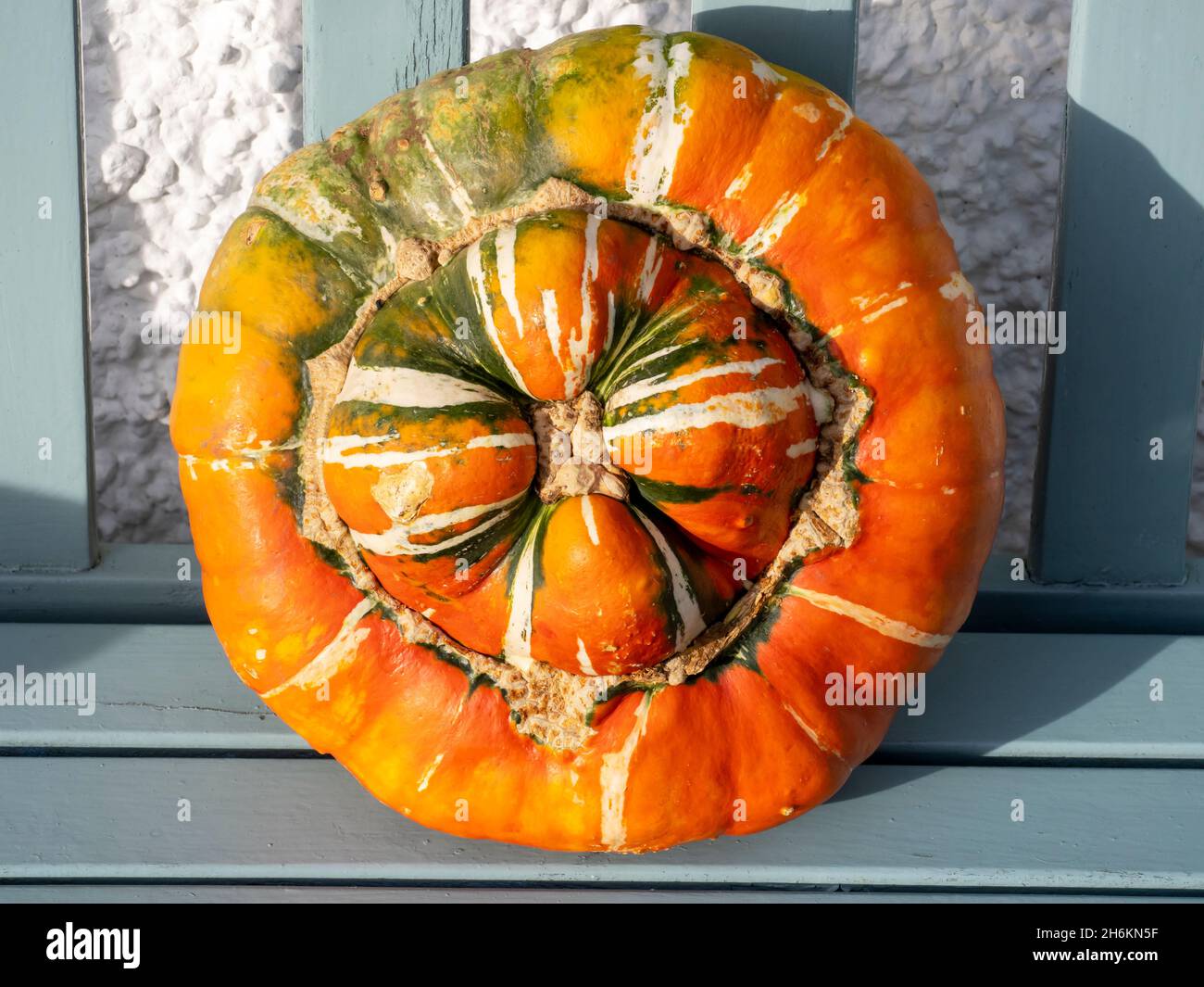 A weird shaped Turks Head Gourd Stock Photo - Alamy