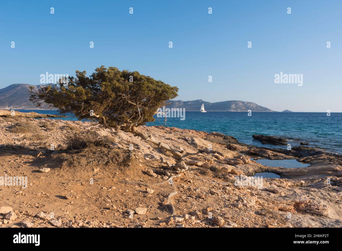 coastal landscape of the Small Cyclades and the Greek sea Stock Photo ...