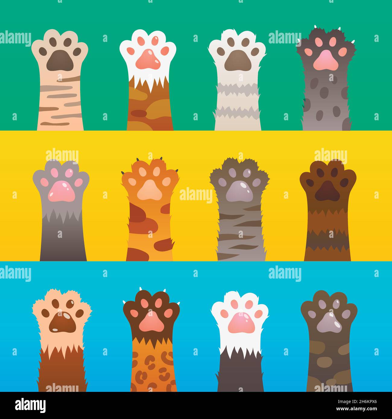 Cats paw flat. Cat paws claw hand, cartoon cute animal, fur funny wild ...
