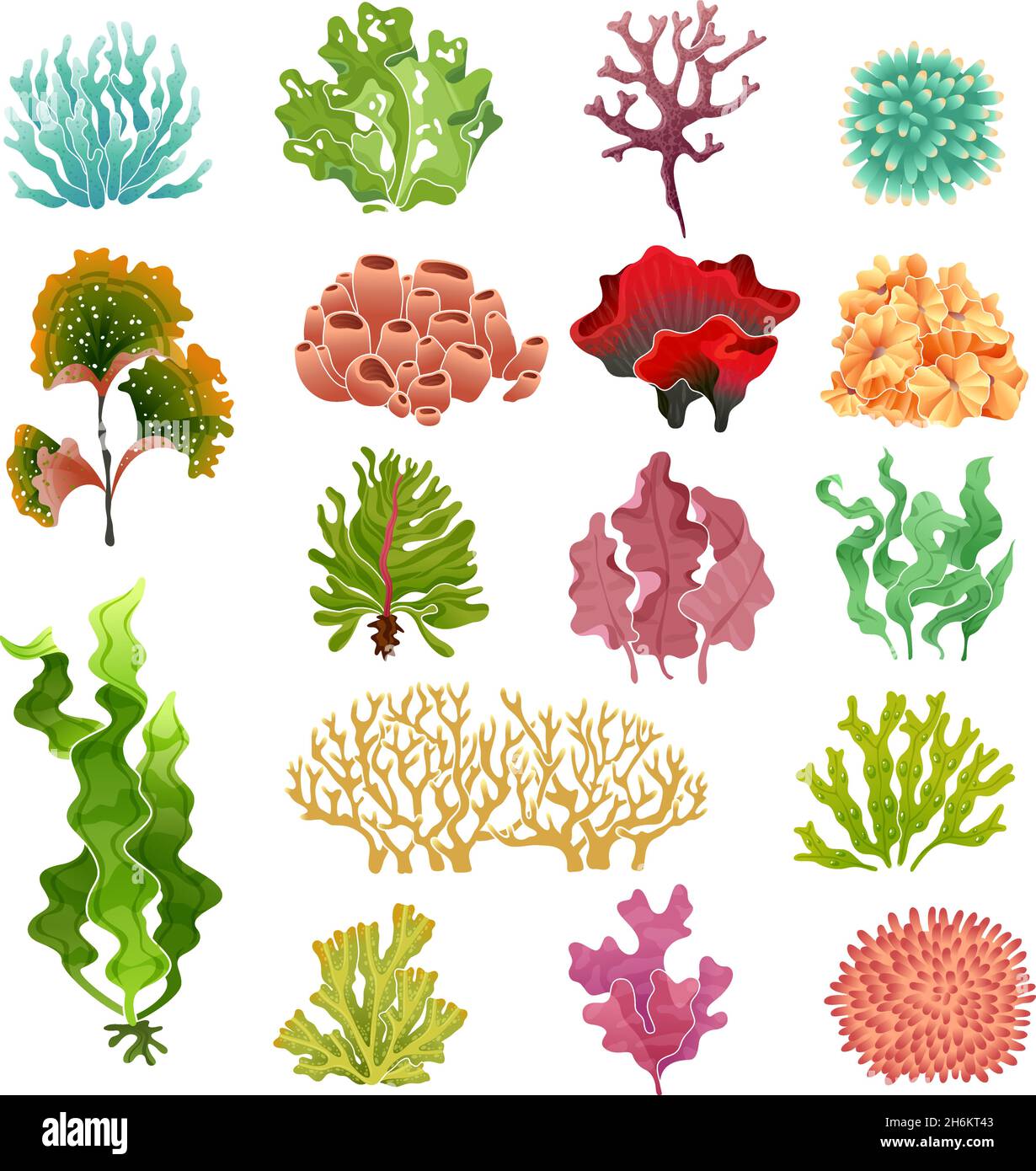 Coral and seaweed. Underwater flora, sea water seaweeds aquarium kelp ...