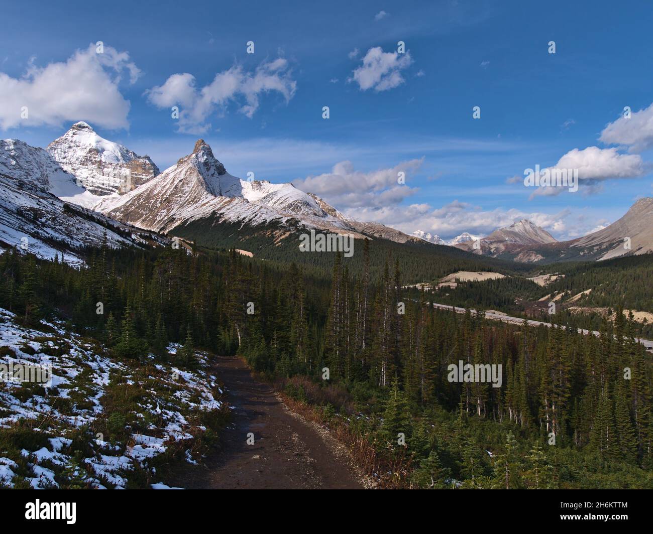 Beautiful landscape with hiking path leading through forest of ...