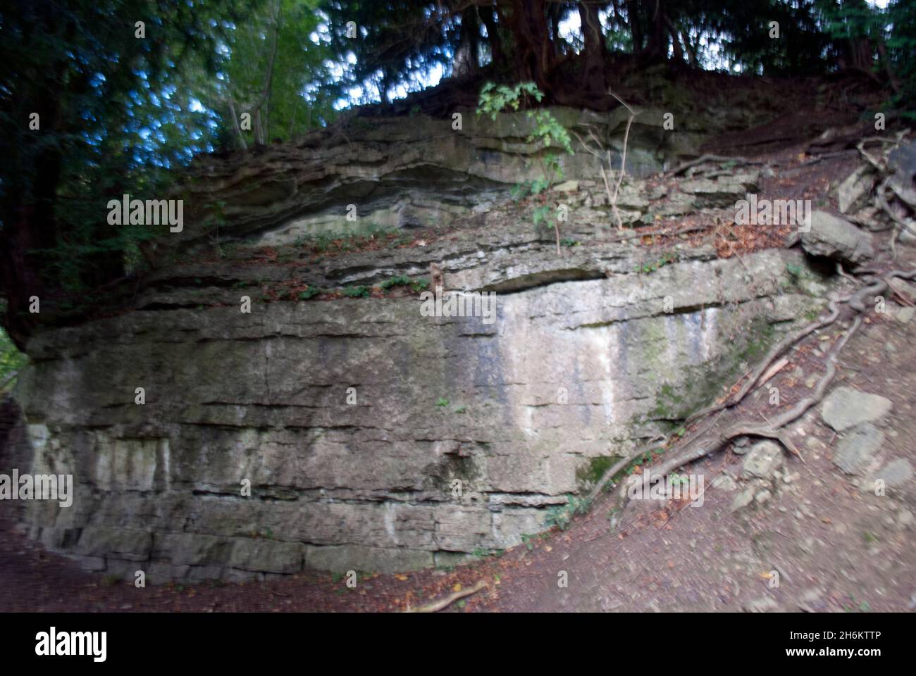 Steep tree lined path with rock outcrop on hill at Studley Royal Park ...