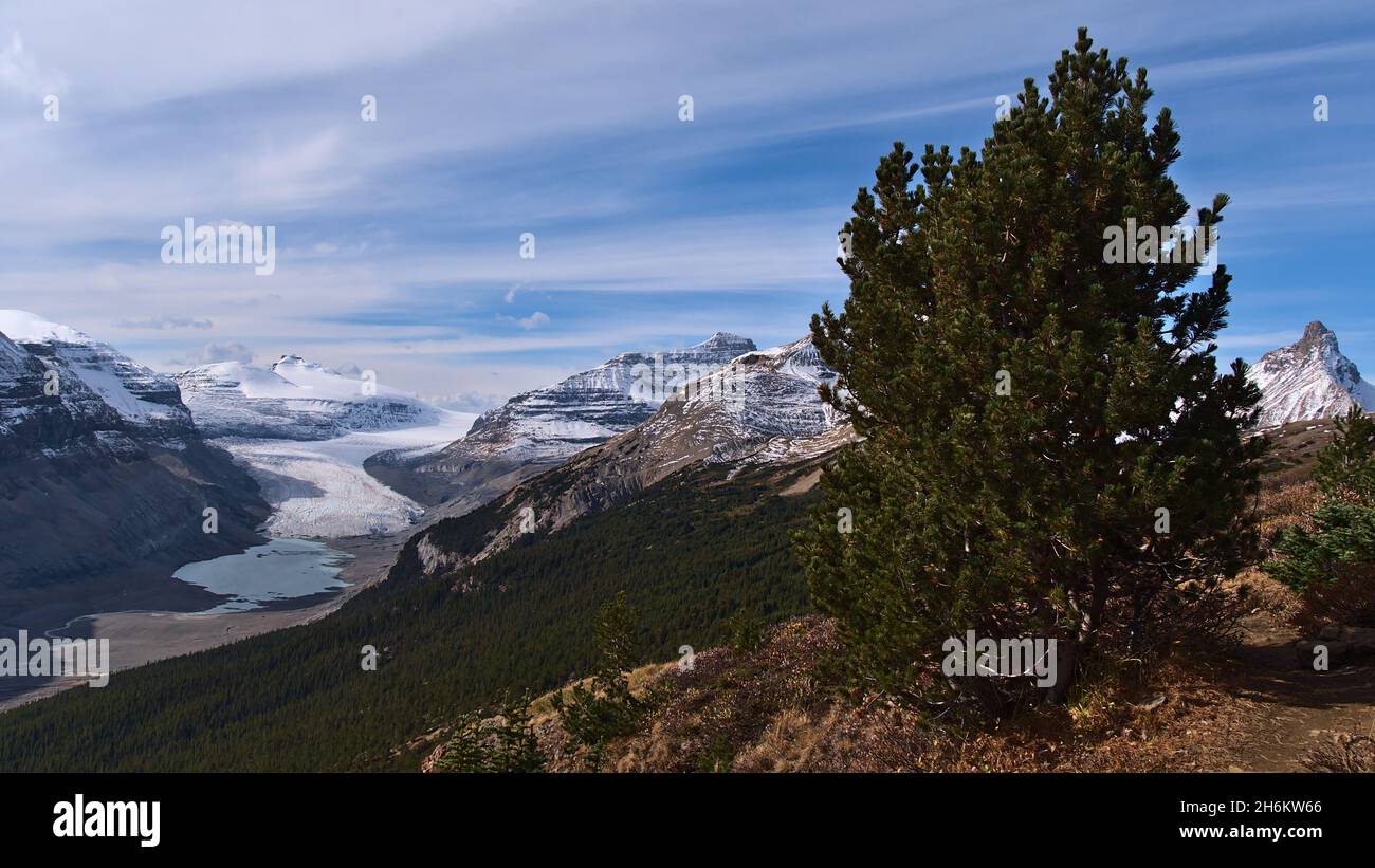 Beautiful landscape of the Rocky Mountains with majestic Saskatchewan ...