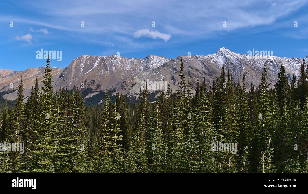 Banff national park trees sky hi-res stock photography and images - Alamy