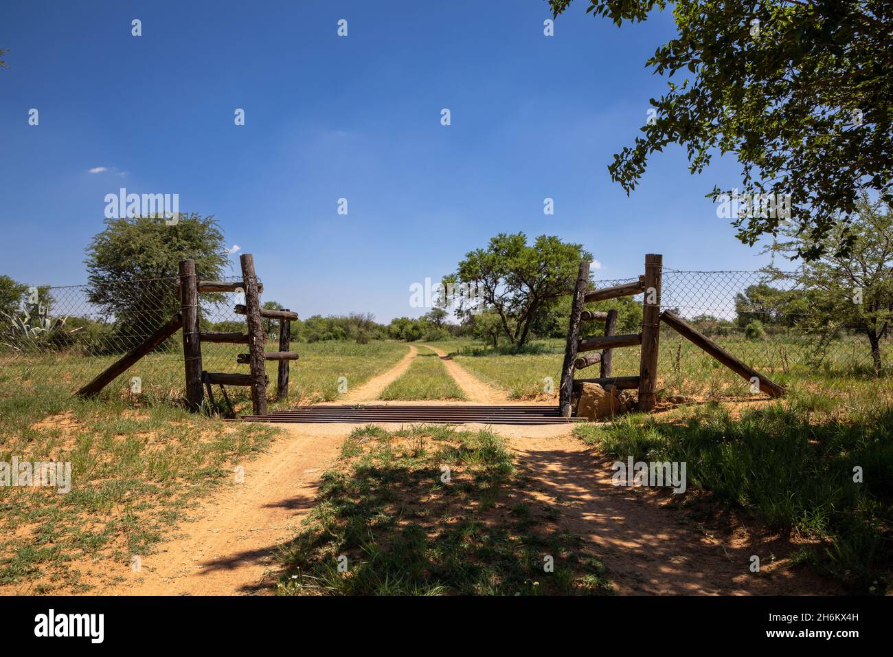 Entrance gate on a farm with wooden poles as supports. Two row path ...