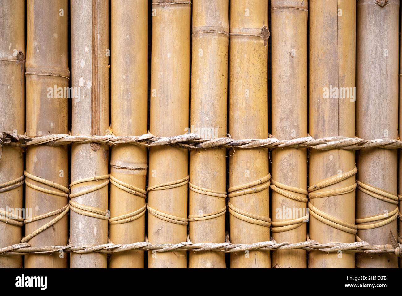 Woven bamboo wall of a traditional house in the Solomon Islands Stock ...