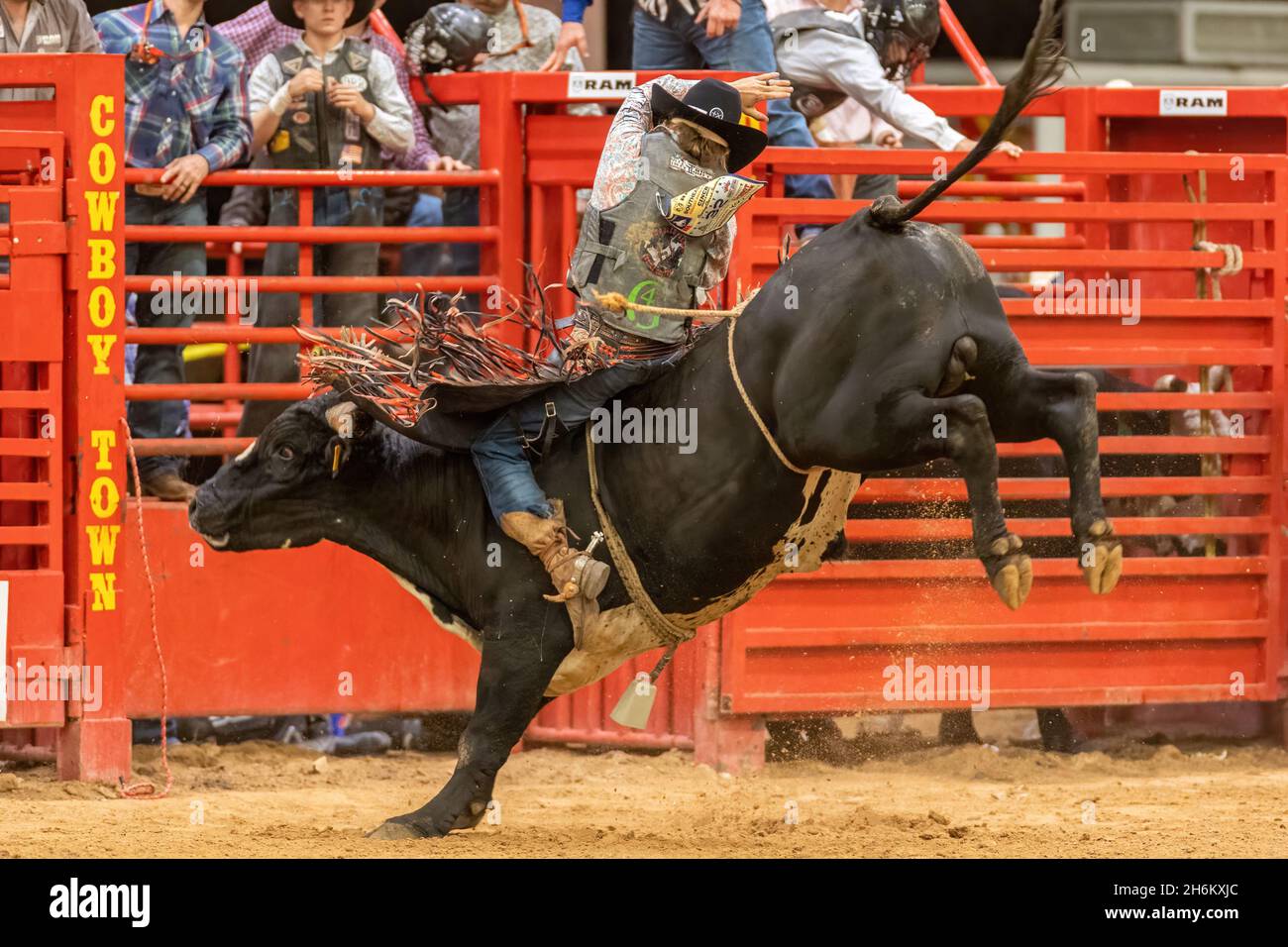 Davie, USA. 12th Nov, 2021. Bull Riding seen on Southeastern Circuit ...