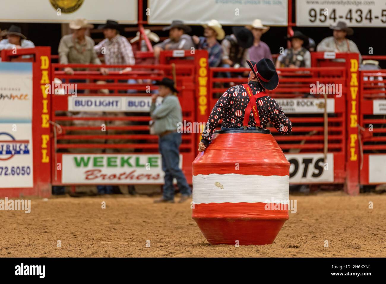 Davie, USA. 12th Nov, 2021. Bull Riding seen on Southeastern Circuit ...
