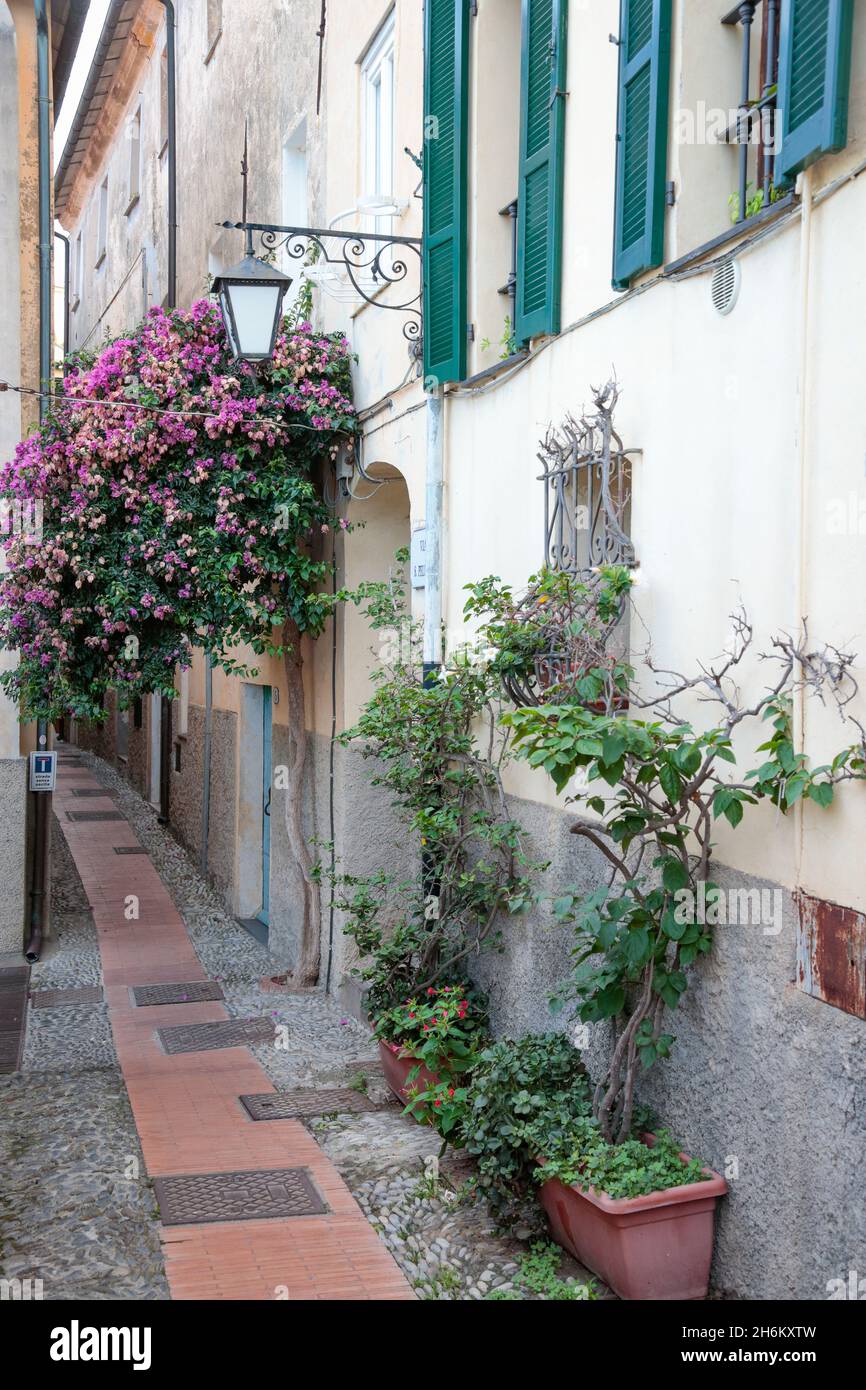 Cervo ligure, Italian roman city of the Ligurian riviera, in summer ...
