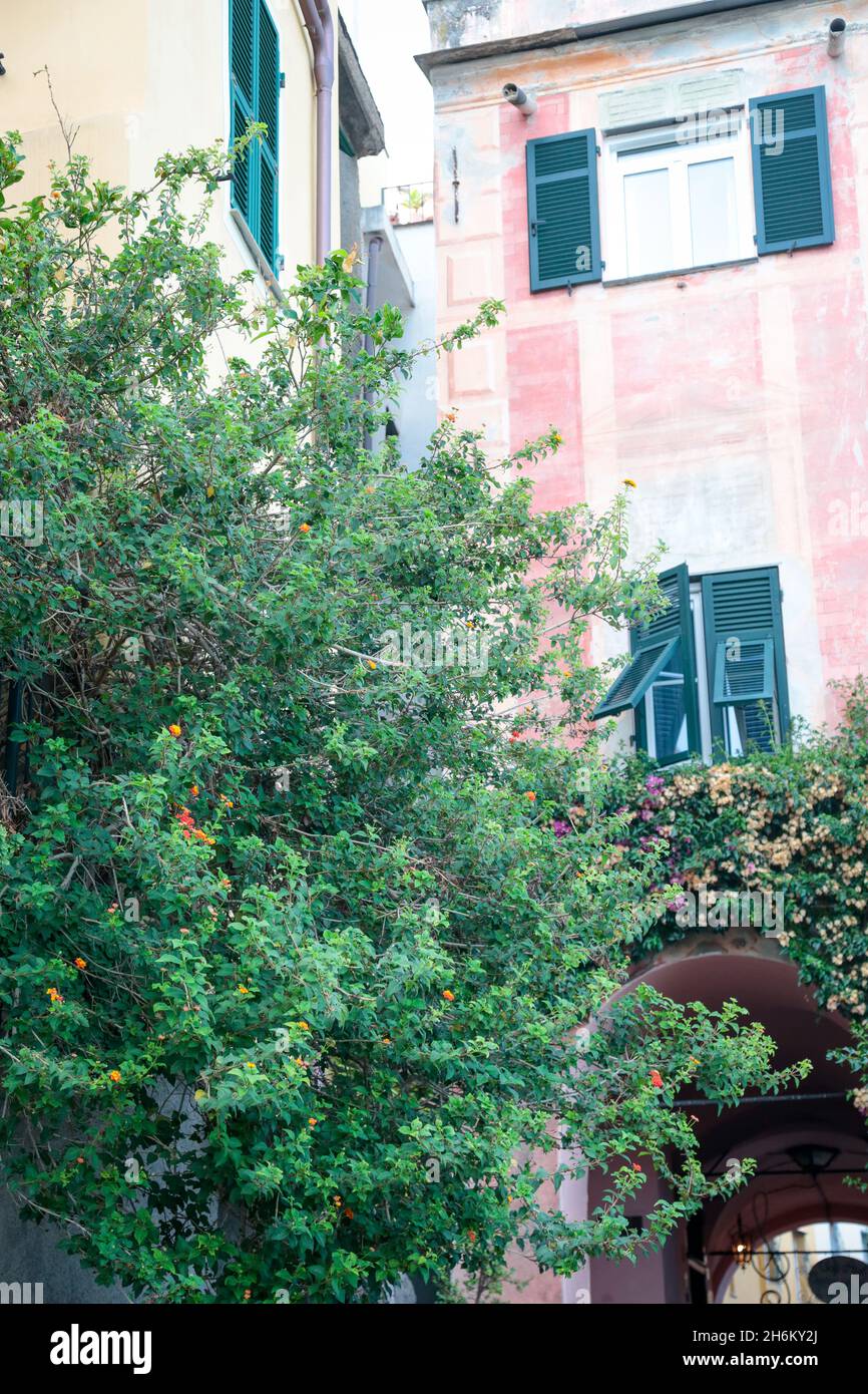 Cervo ligure, Italian roman city of the Ligurian riviera, in summer ...