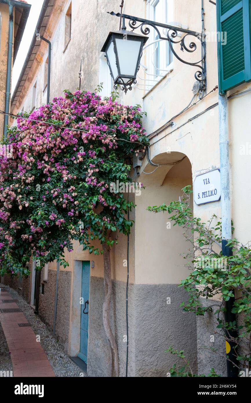 Cervo ligure, Italian roman city of the Ligurian riviera, in summer ...