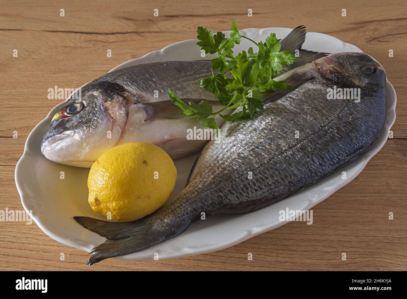 Limone di mare hi-res stock photography and images - Alamy