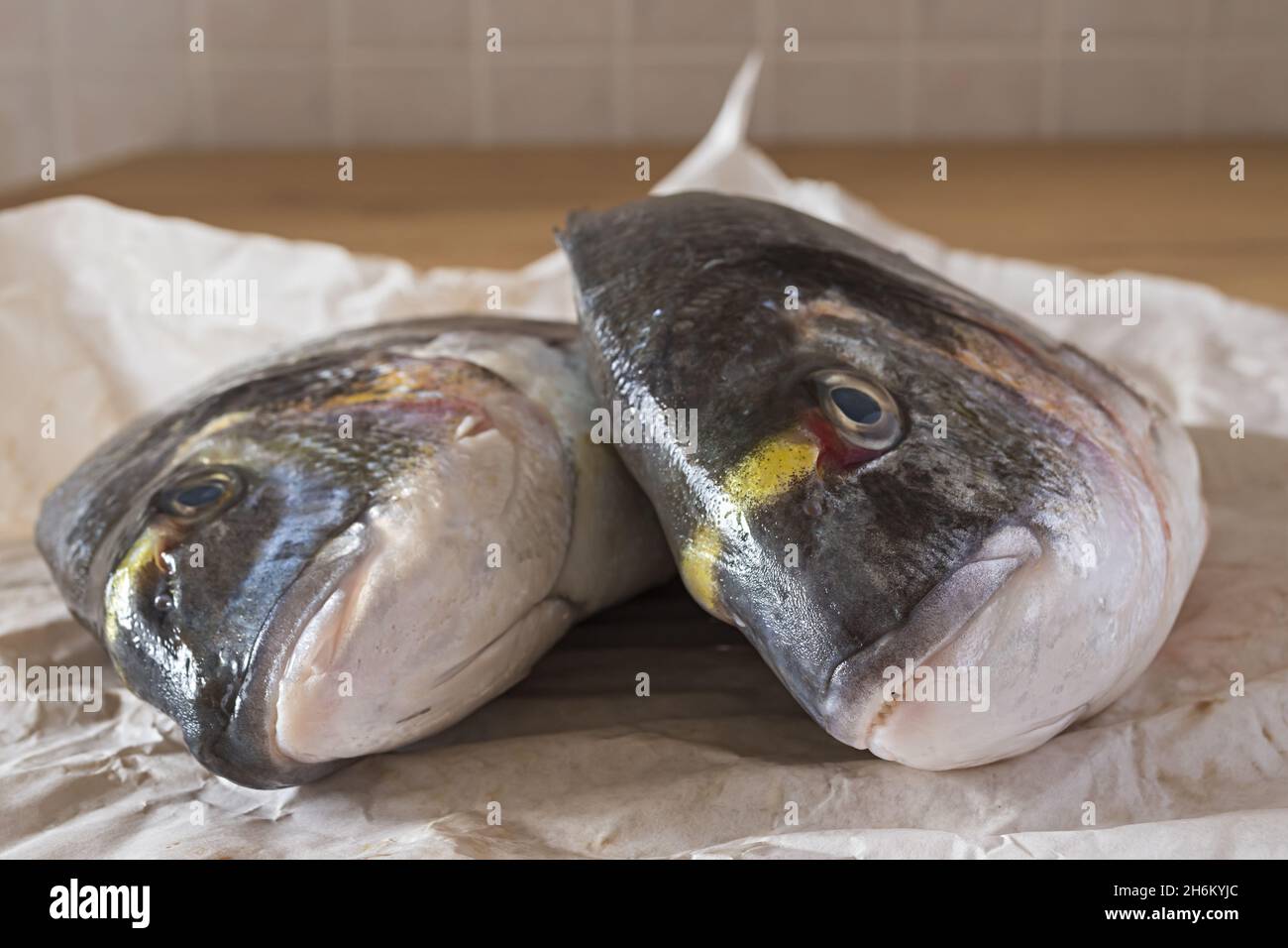 Limone di mare hi-res stock photography and images - Alamy