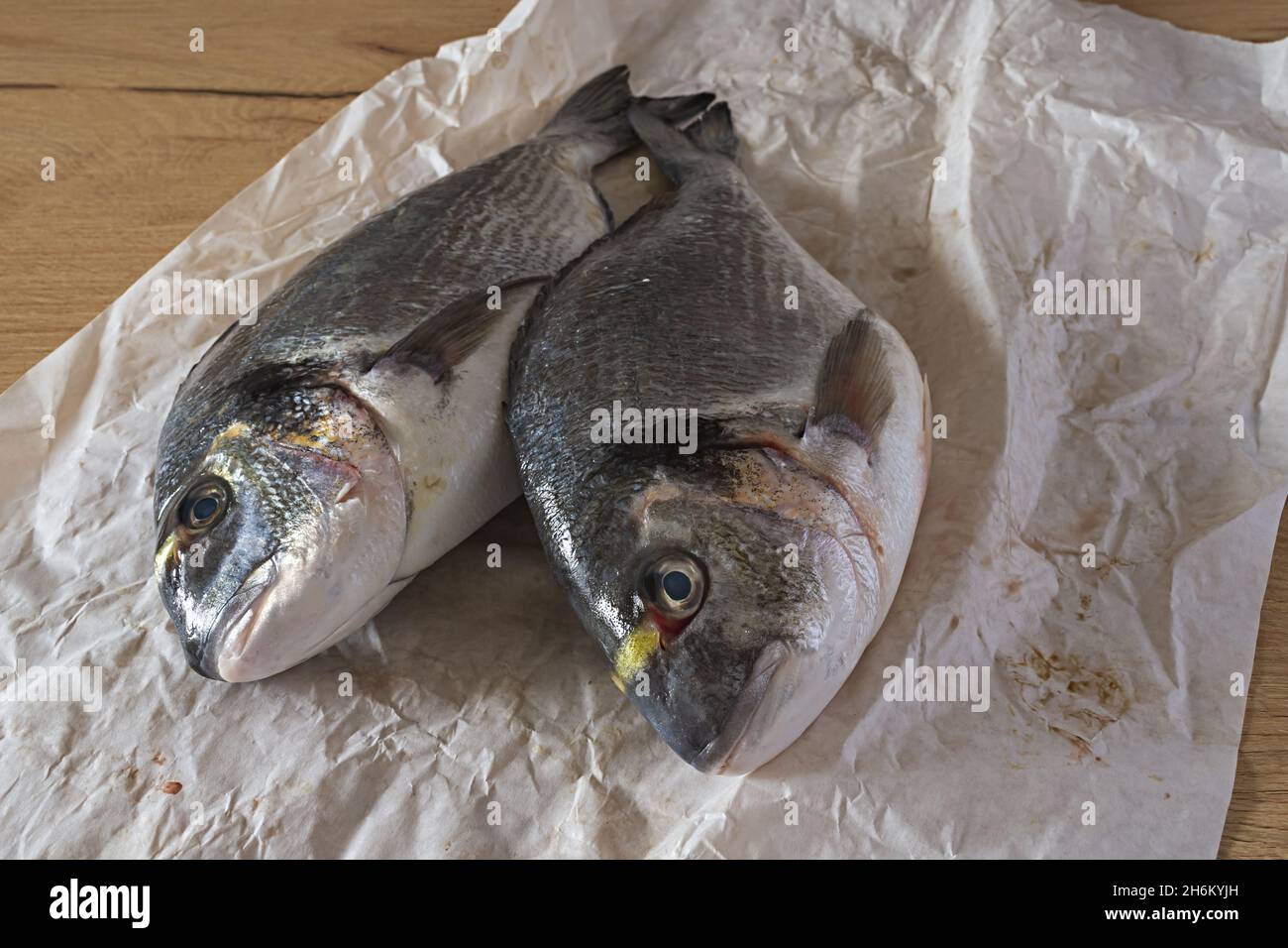 Orata bianca hi-res stock photography and images - Alamy