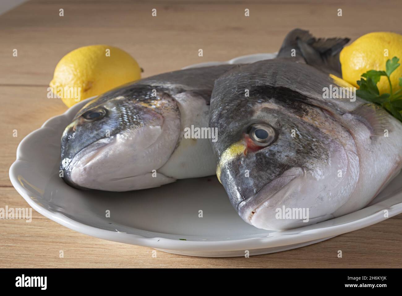 Limone di mare hi-res stock photography and images - Alamy