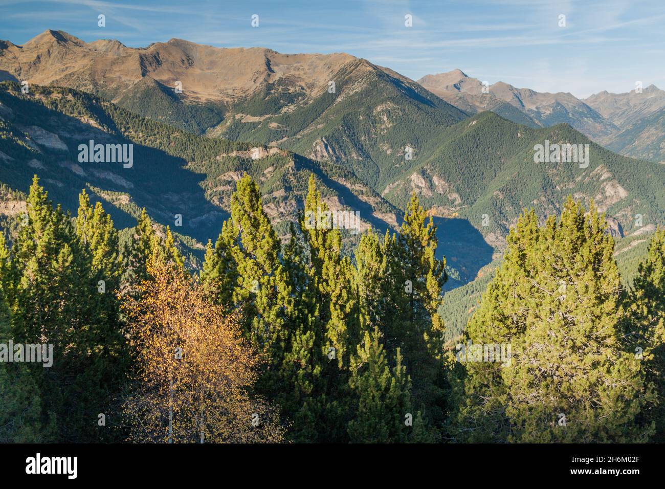 Forest and mountains in Andorra Stock Photo - Alamy